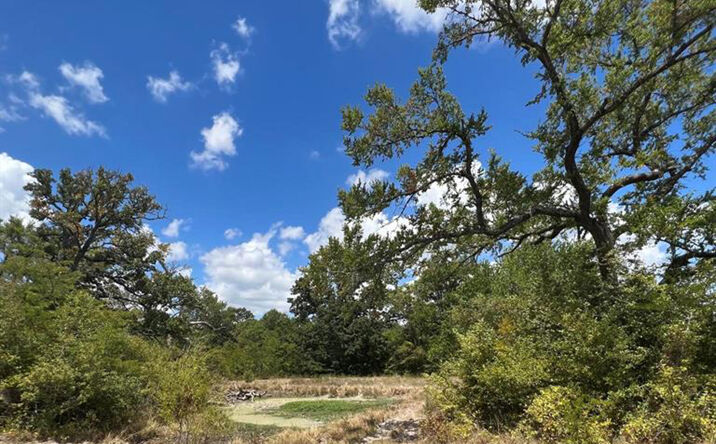 7561 Farm to Market Rd 2562, Richards, TX 77873 - Land for Sale - Tract ...