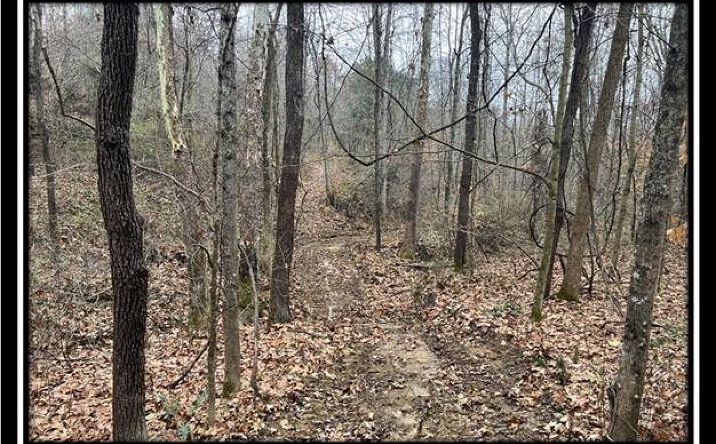 35841 Buck Run Rd, Langsville, OH 45741 | Crexi.com