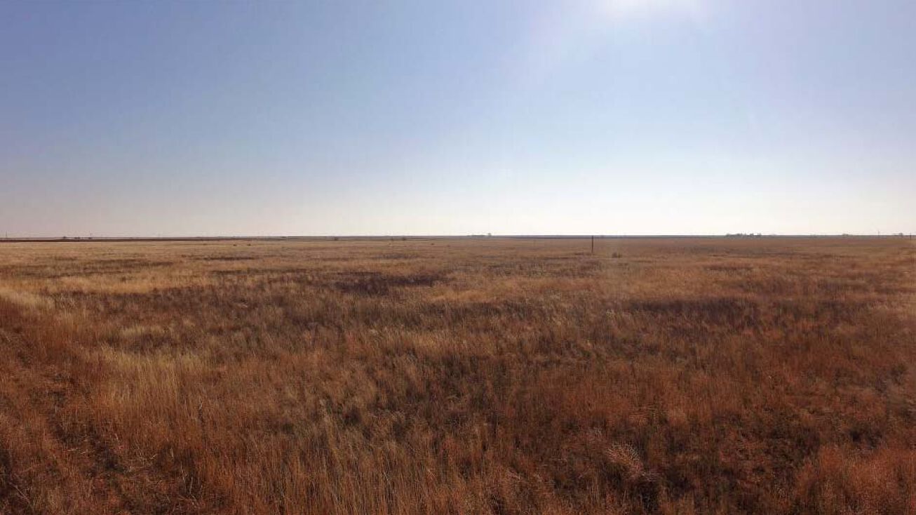 CRP Grass, Spade, TX 79369 | Crexi.com
