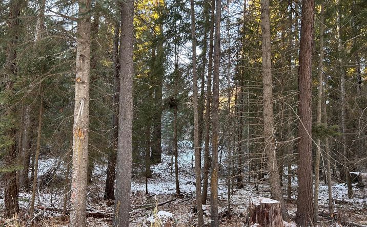 Nhn Upper Ford Road, Yaak, MT 59935 | Crexi.com