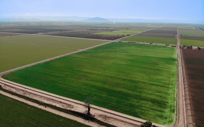 Rood Rd, Calexico, CA 92231 | Crexi.com