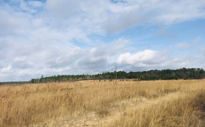 0 CHALK MINE ROAD/ HWY 96 Butler GA 31006 APN: 042013 | Crexi.com