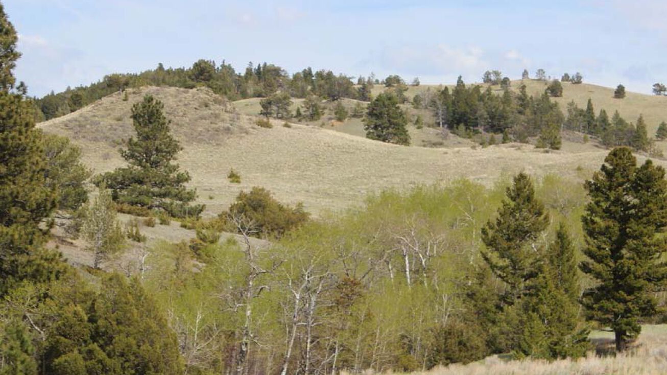 Stagecoach Road Ranch, Helena, MT 59601 | Crexi.com