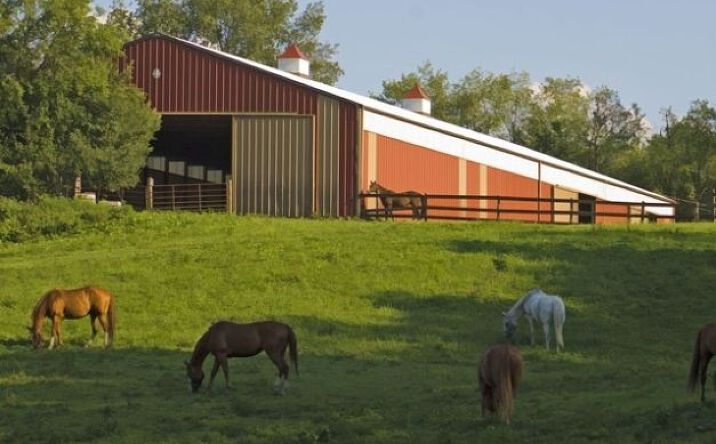 1316 Pit Road, Java Center, NY 14082 | Crexi.com