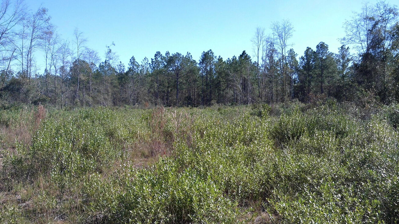 Perimeter Rd, Valdosta, GA 31601 | Crexi.com