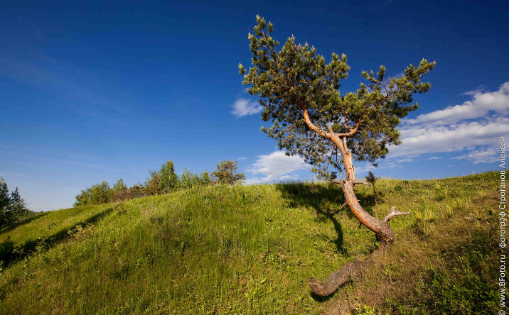 10099 Ridgegate Pkwy, Lone Tree, CO 80124 | Crexi.com