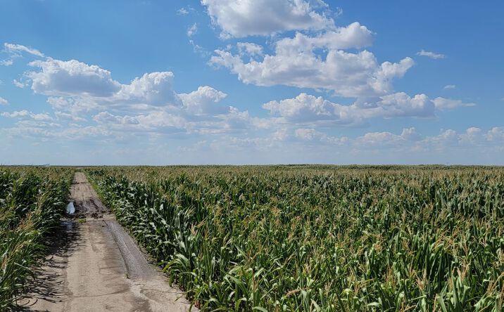 Co Rd 12, Julesberg, CO 80737 - Land for Sale - Southeast Sedgwick ...