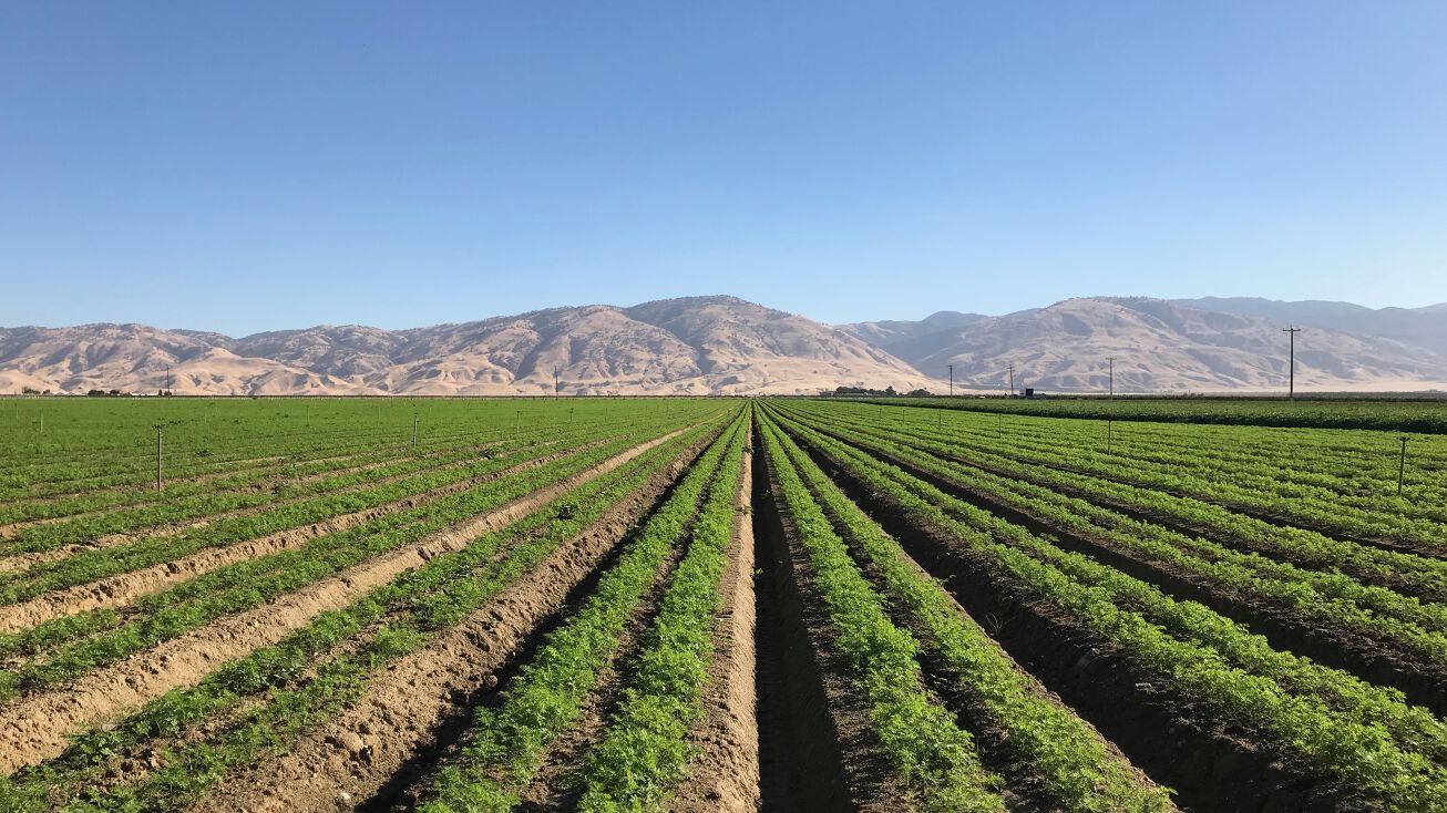 Laval Rd, Bakersfield, CA 93203 | Crexi.com