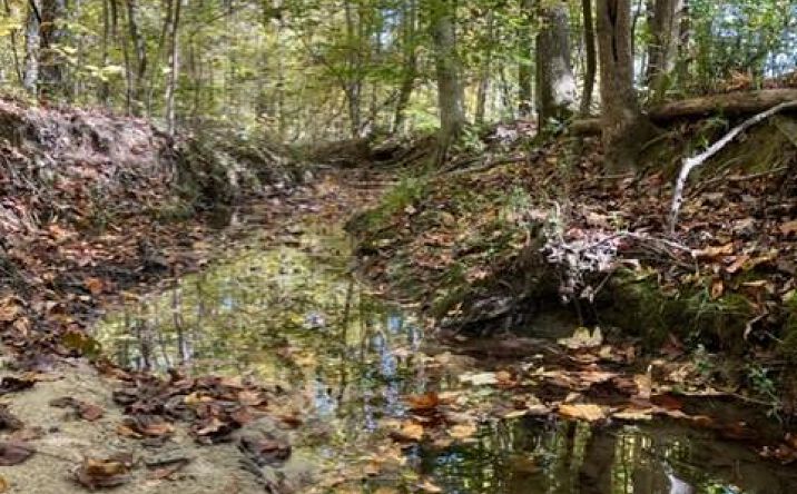 Providence NC, NC | Crexi.com