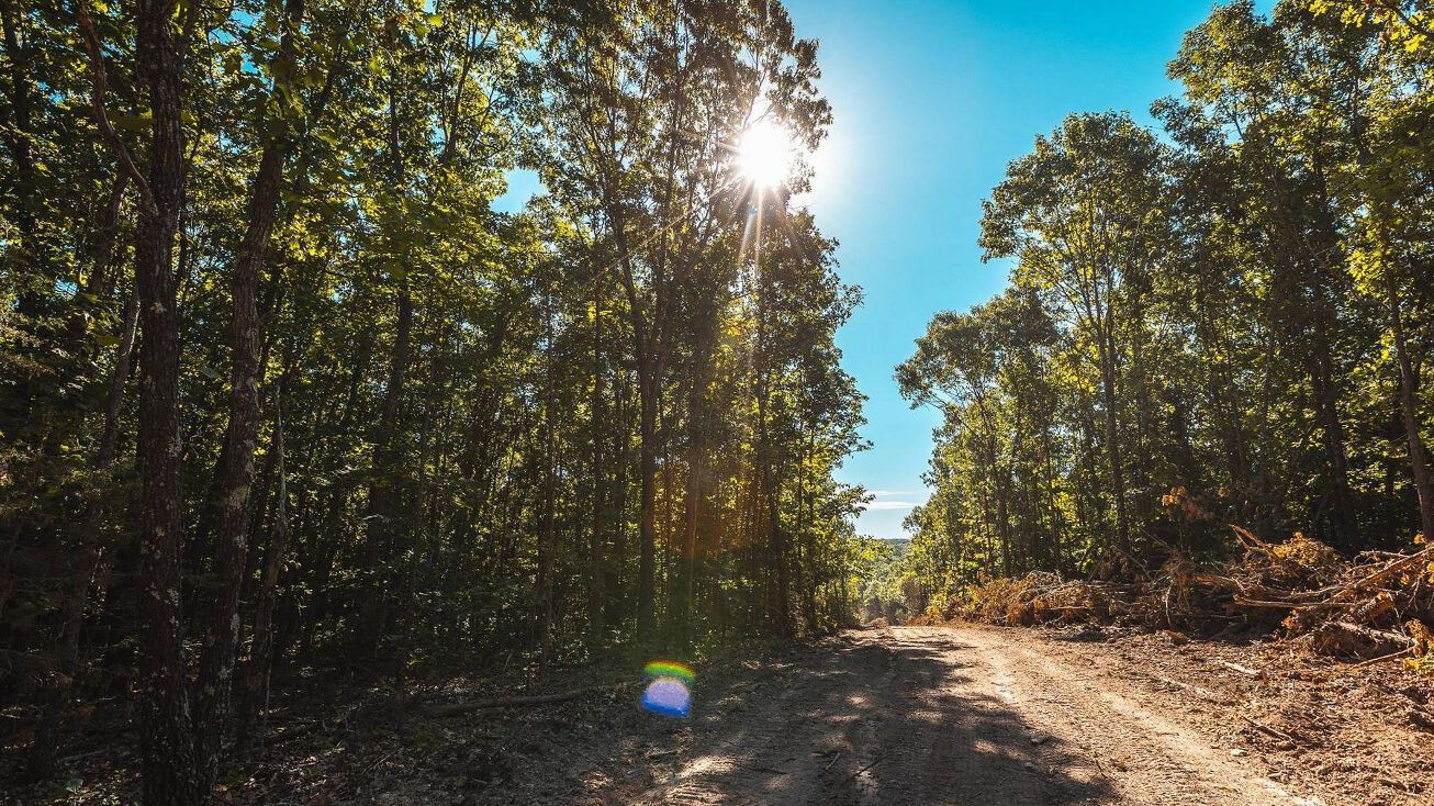 Highway Ab Tract 11, Richland, MO 65556 | Crexi.com