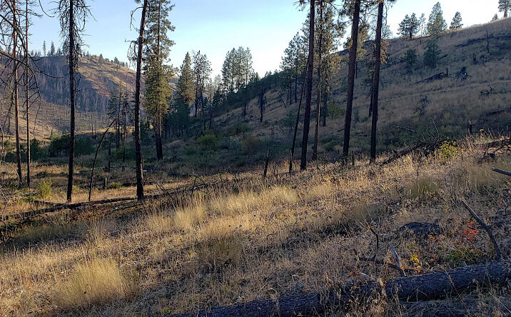604X CARPENTER RD Fruitland WA 99129 APN: 1571900 | Crexi.com