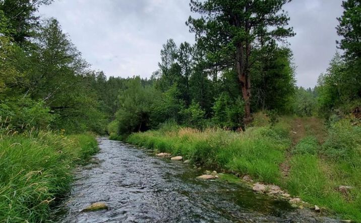 11943 Crook City Rd, Whitewood, SD 57793 | Crexi.com