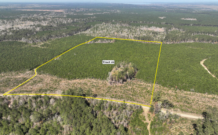 T-16 Co Rd 4415, Spurger, TX 77660 | Crexi.com