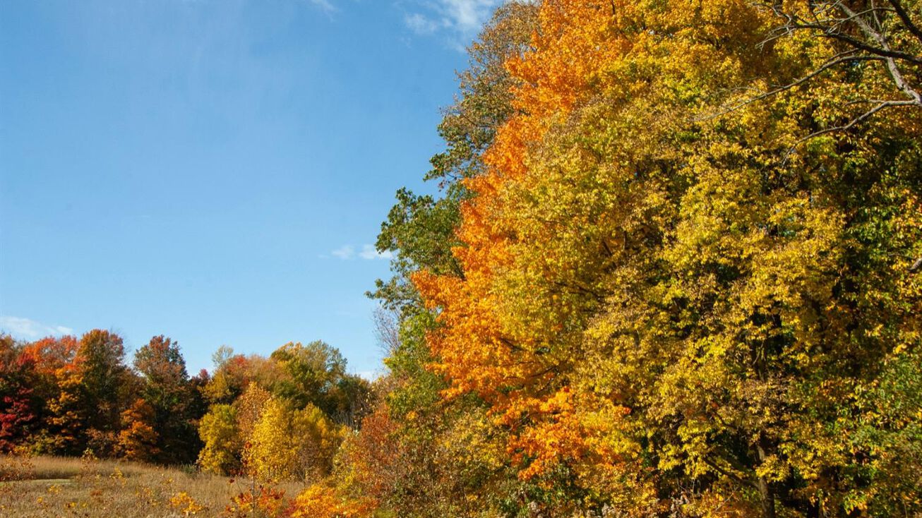 6846 N Modern Way, La Porte, IN 46350 | Crexi.com