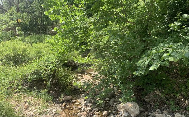 E Branch Rd, Macks Creek, MO 65786 | Crexi.com