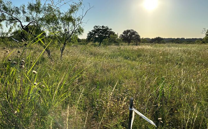 TBD 601 BREEZY ST Brownwood TX 76801 | Crexi.com