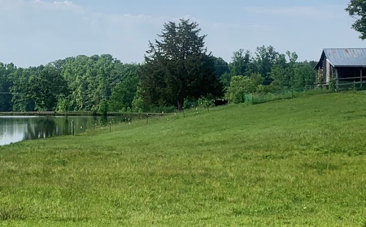 840 Tabernacle Rd, Buffalo Junction, VA 24529 - Land for Sale - Rolling ...