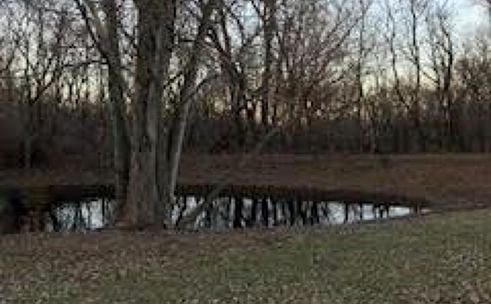 7802 allman Road, Lenexa, KS 66217 - Land for Sale - 7802 allman Road