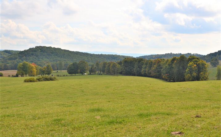 BROAD RUN RD Union WV 24983 | Crexi.com