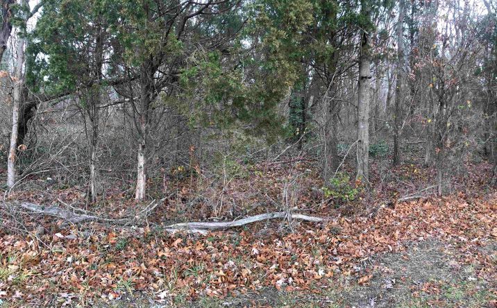 6634 BLACK HORSE PIKE Egg Harbor Township NJ 08234-4538 APN: 0108_1220 ...