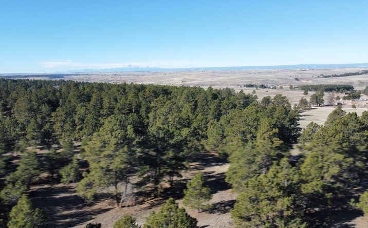 30951 Private Road 23, Elizabeth, CO 80107 - Land for Sale - Elizabeth ...