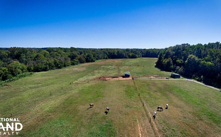 29084 CAPSHAW RD Harvest AL 35749-7426 APN: 0906240000006004 | Crexi.com