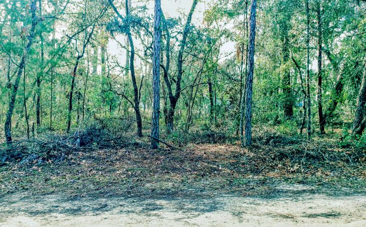 Inverness, FL Commercial Real Estate for Sale | Crexi.com