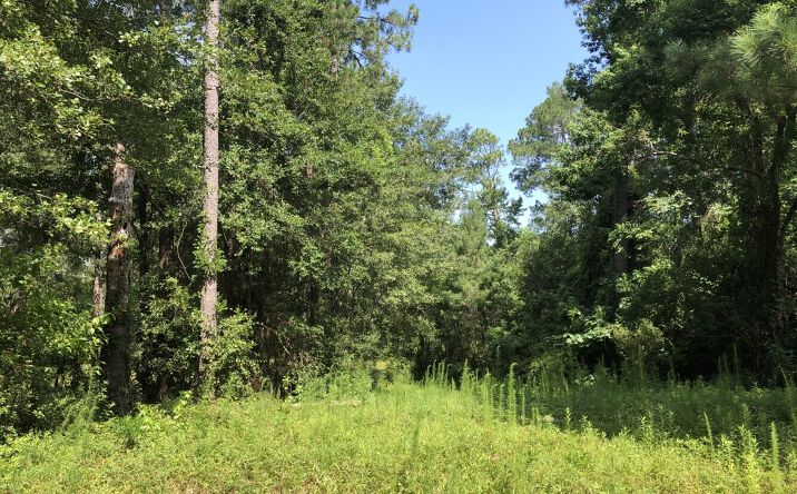 1906 S 28th Ave Ext., Hattiesburg, MS 39401 | Crexi.com