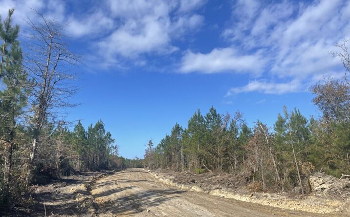 Weenee Rd, Jamestown,, SC 29453 | Crexi.com