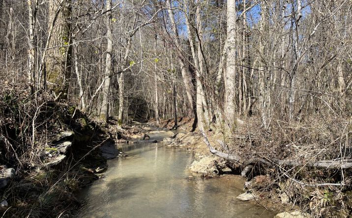 0 County Road 63, Oakman, AL 35579 | Crexi.com