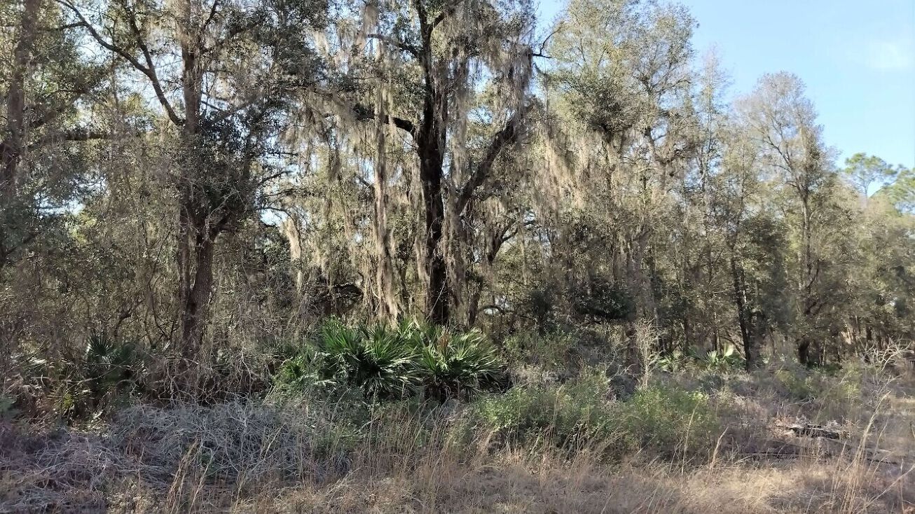 SW County Rd 225, Starke, FL 32091 - Land for Sale - Starke Homesite ...