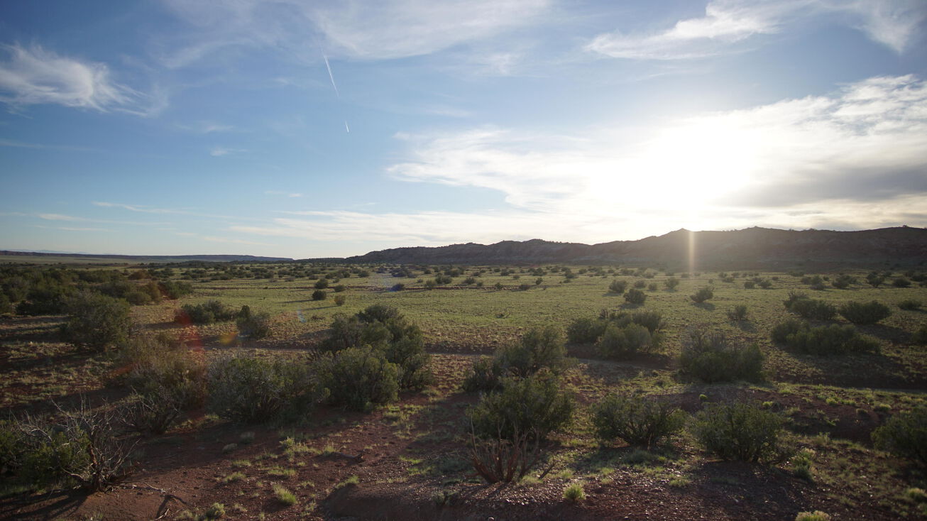 Lots 45&53 Woodland Valley Ranches, Saint Johns, AZ 85936 | Crexi.com