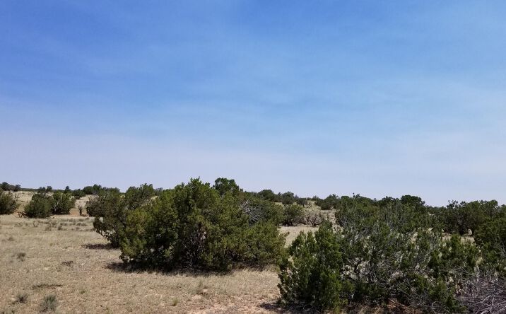 Lot 253 Woodland Valley Ranch, Saint Johns, AZ 85936 - Land for Sale ...