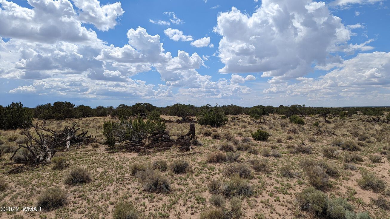 Lot 523 Woodland Valley Ranch, Saint Johns, AZ 85936 | Crexi.com