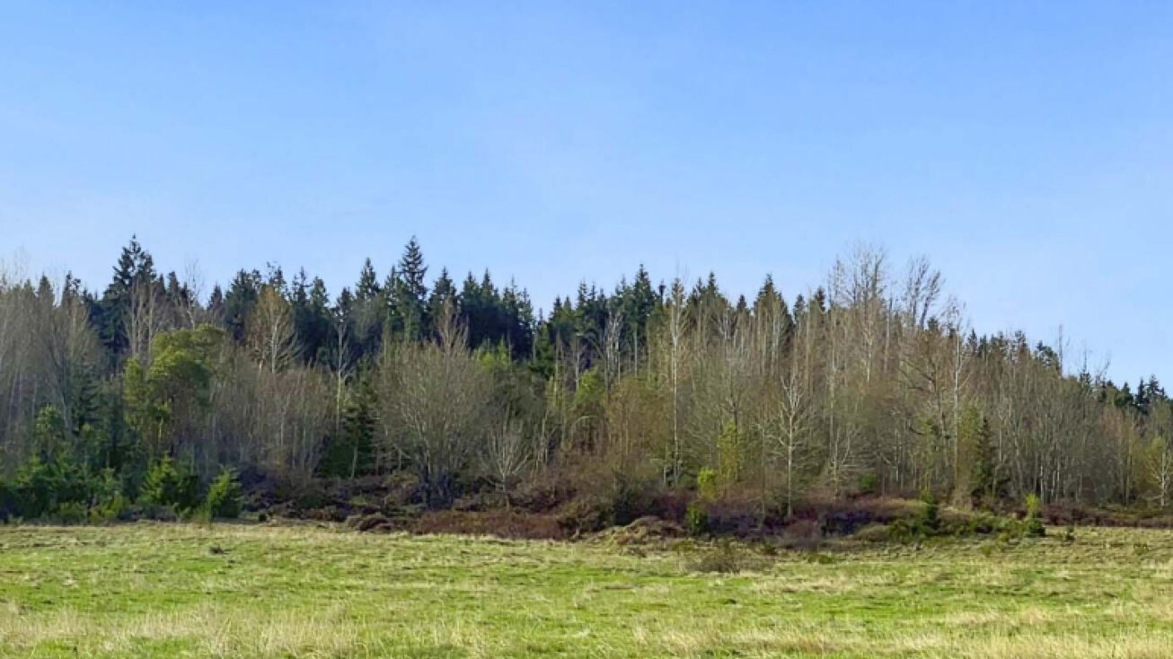 NHN Brownfield Road, Sequim, WA 98382 | Crexi.com