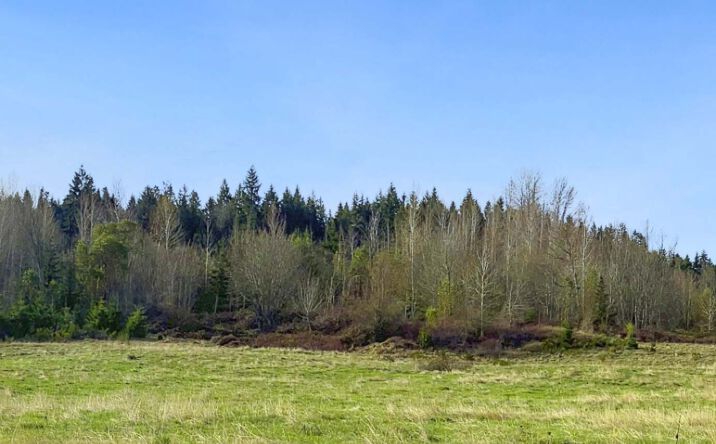 NHN Brownfield Road, Sequim, WA 98382 | Crexi.com
