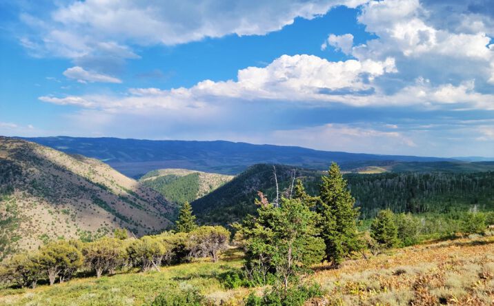 11 Avon, Avon, UT 84328 | Crexi.com