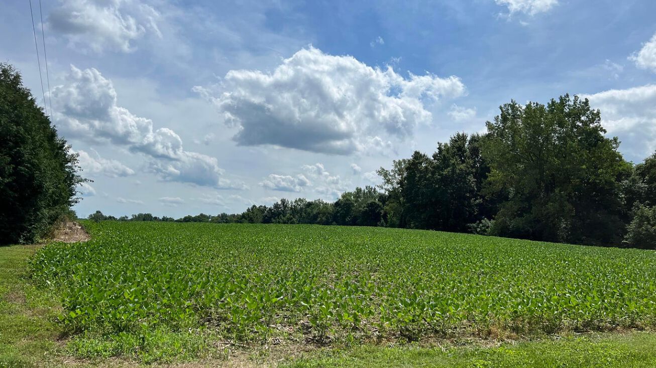 0 Miller Road, Mount Vernon, OH 43050 - Land for Sale - 0 Miller Road