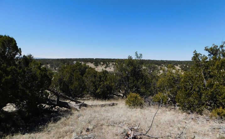 Commercial Land for Sale in Quemado, NM | Crexi