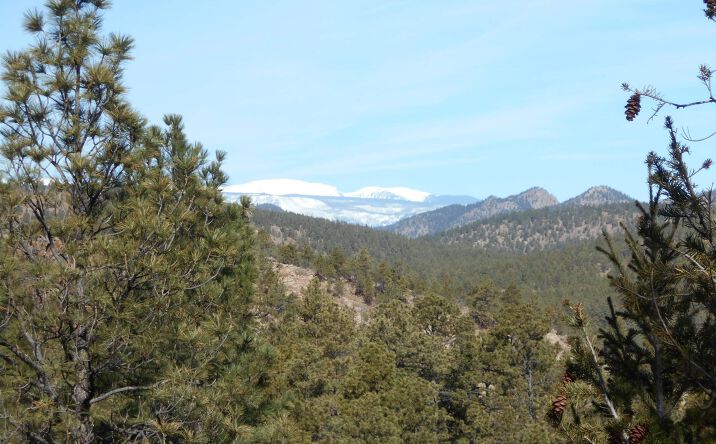 Black Willow Ranch, Watrous, NM 87753 - Land for Sale - Black Willow Ranch