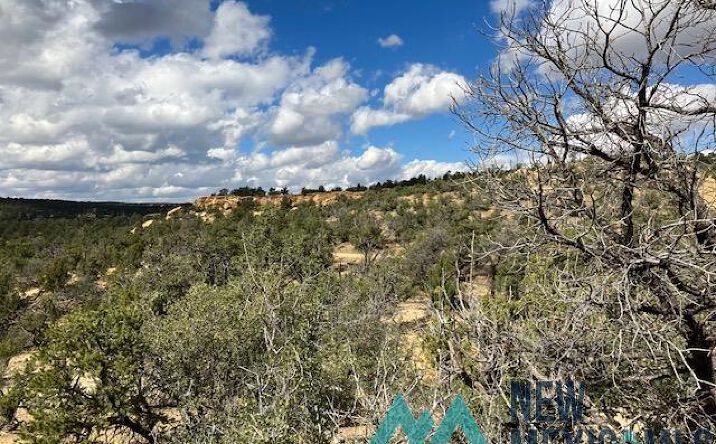 Candy Kitchen, Ramah, NM 87321 - Land for Sale - Candy Kitchen