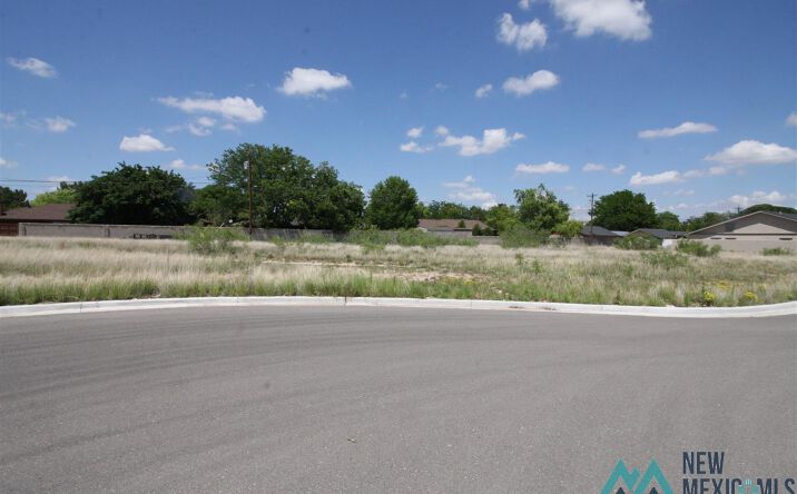 Lot 12 Block 8 W Avenue, Lovington, NM 88260 - Land for Sale - Lot 12 ...