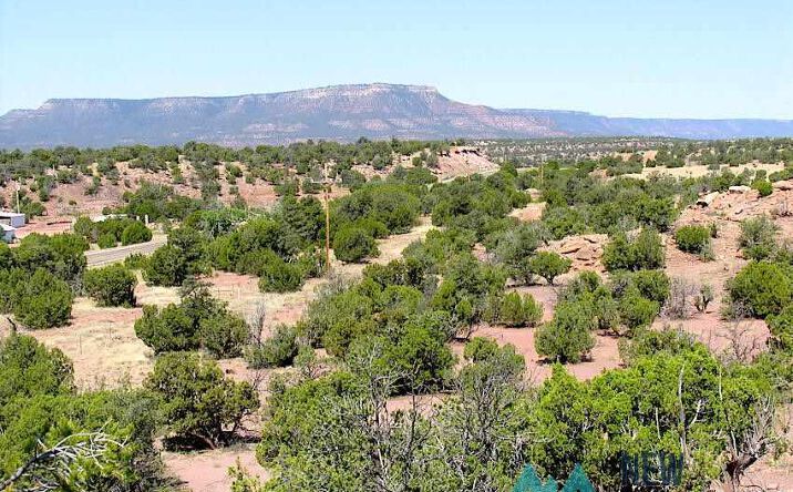 NM-3, Gonzales Ranch, NM 87560 | Crexi.com