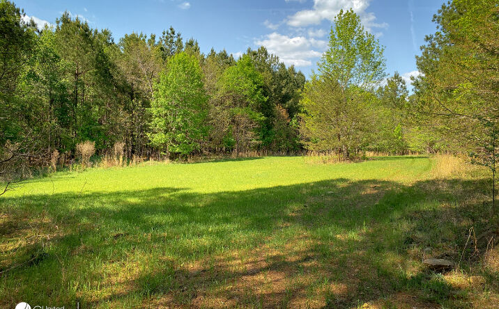 1084 Stoney Point Dr, Lexington, NC 27292 - Land for Sale - 91 Acres on ...
