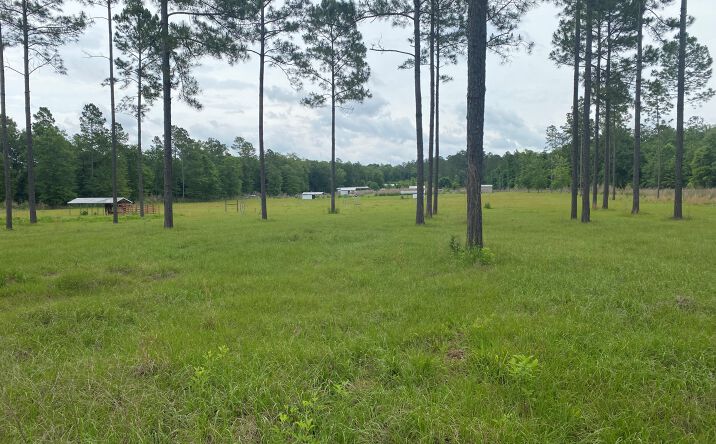 2033 NW BROOKS COUNTY LINE RD Greenville FL 32331-4943 APN ...