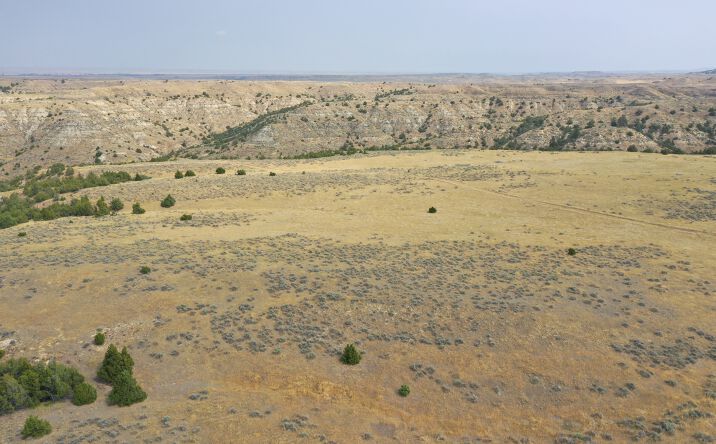 Forsyth, Forsyth, MT 59327 | Crexi.com