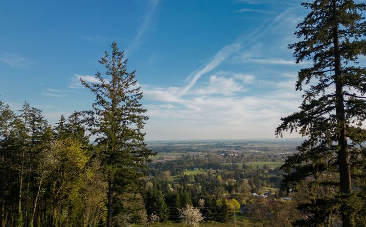 Residential Land for Sale in Newberg, OR | Crexi