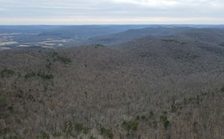 Point Peter Mountain Tract 3, Saint Joe, AR 72675 | Crexi.com