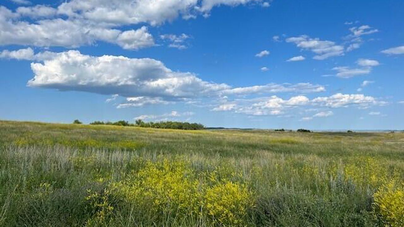 Lot 2 Nd 22, Makoti, ND 58756 | Crexi.com