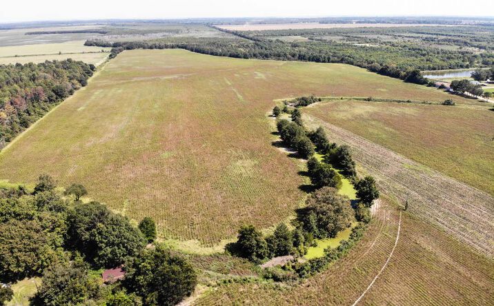 Overflow creek farm, Hamburg, AR 71646 | Crexi.com